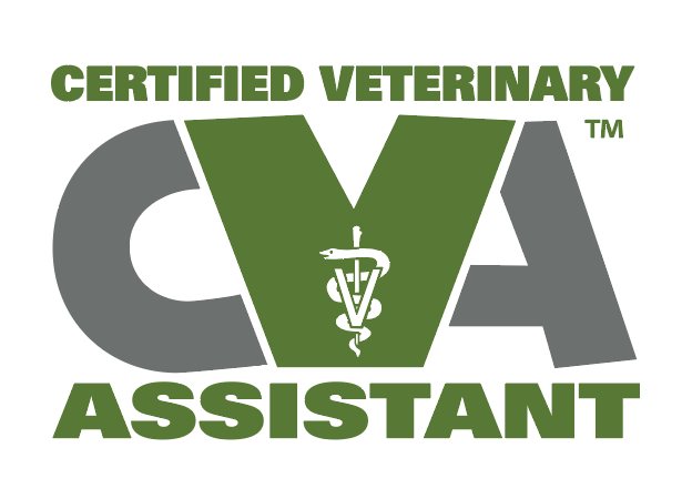 More About the CVA Program
